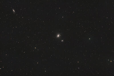 M85